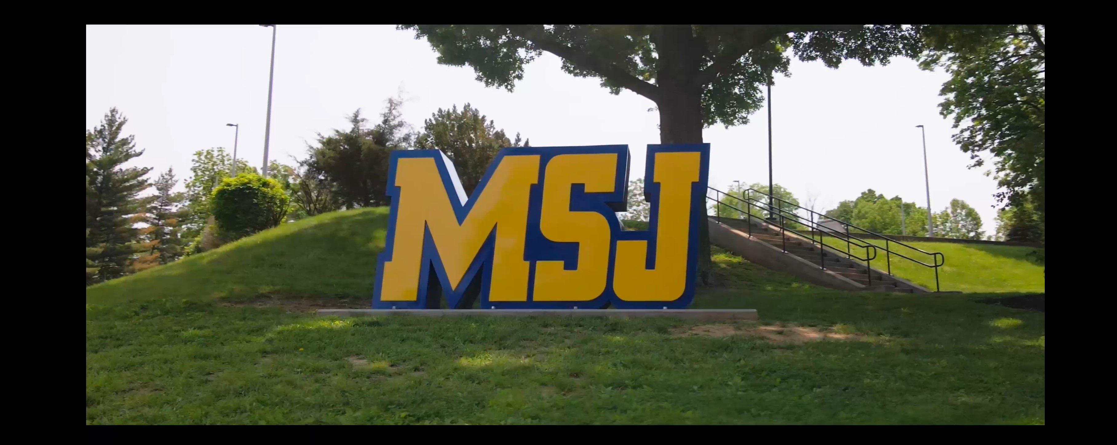 Logotipo De La Universidad Mount Saint Joseph University Of Saint